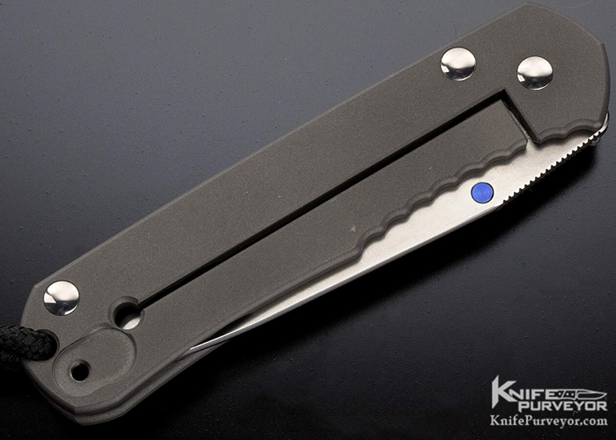 Chris Reeve Custom Knife Small Sebenza Unique Graphics with Tourmaline ...