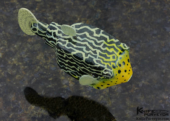 Matsumoto Kurosawa Custom Knife Reticulated Boxfish - Knife Purveyor