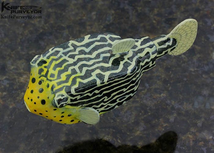 Matsumoto Kurosawa Custom Knife Reticulated Boxfish - Knife Purveyor