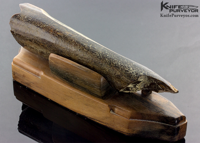 Matthew Stothart Scrimshawed Fossil Walrus with Grizzly Bear Fishing ...